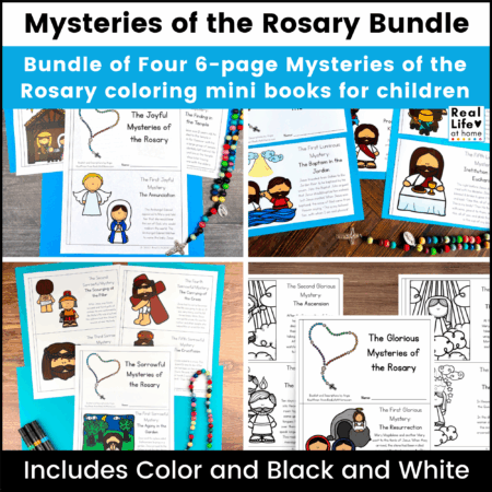 Four Mini Book Bundle: Mysteries of the Rosary Mini Books for Kids ...